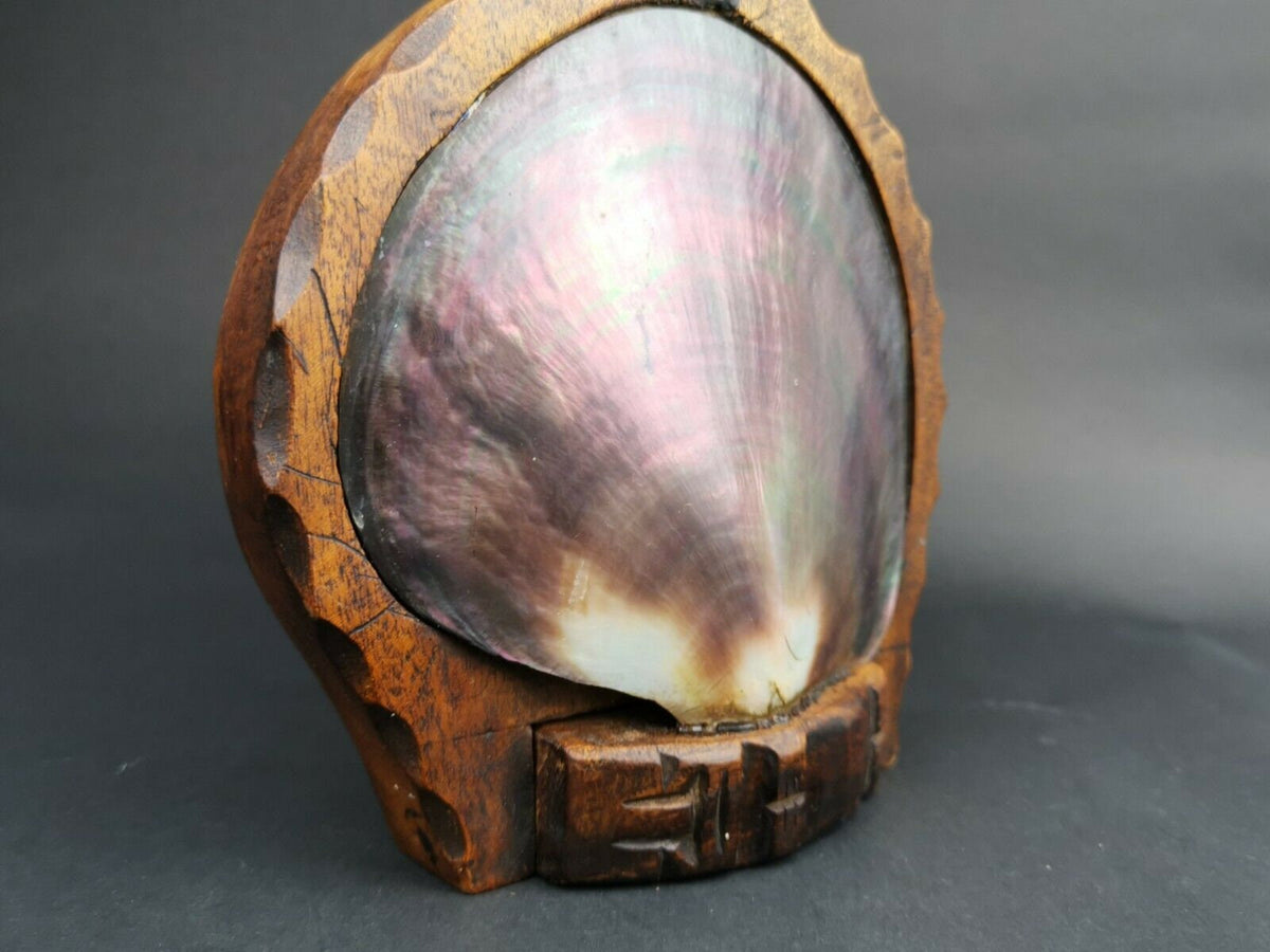 Antique Large Seashell Inside Carved Wood Display Stand Frame Hand Mad