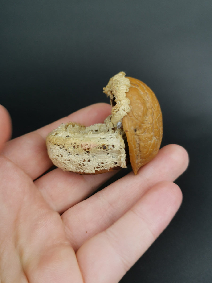 Vintage Walnut Shell Baby Doll in Rocker Bed with Lace Miniature Folk